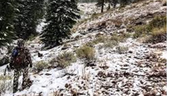 ASAT Outdoors LLC contra Supreme Chapter 4 Corp. - Enrique Ortega Burgos