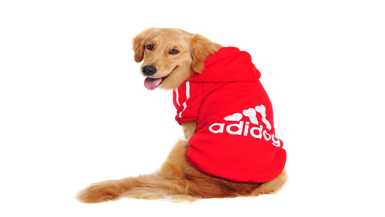Adidas gana la lucha contra la marca japonesa de moda de perros Adidog ...