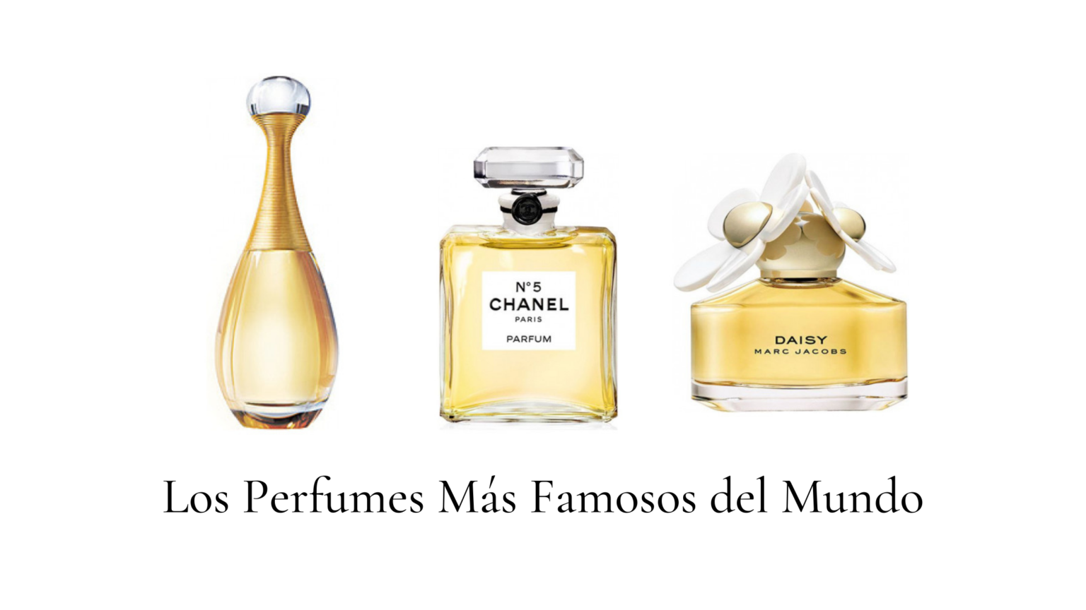 LOS PERFUMES MÁS FAMOSOS DEL MUNDO - Enrique Ortega Burgos