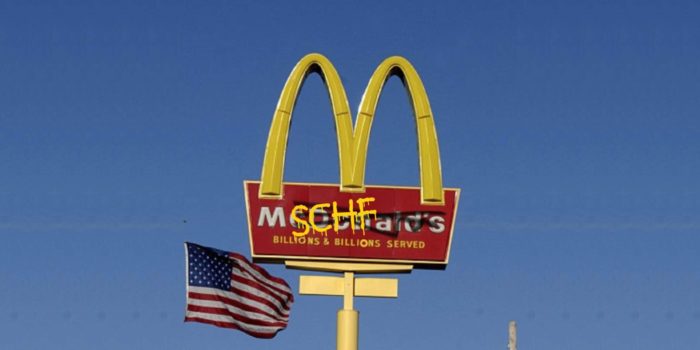 VANS VS MSCHF. CASO DE FASHION LAW 2022 - Enrique Ortega Burgos